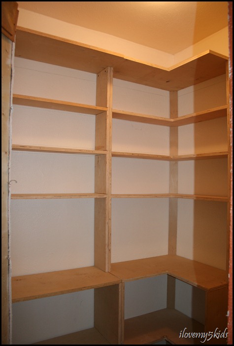 The Kitchen Pantry (almost completed)